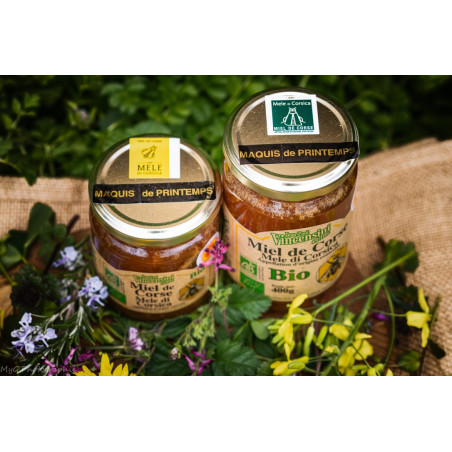 Miel de Maquis de Printemps BIO / AOP Miel de Corse